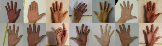 Towards Unconstrained Palmprint Recognition On Consumer Devices A Literature Review Deepai