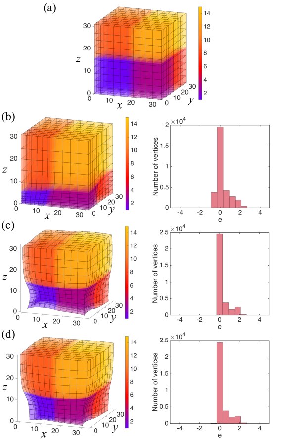 Volumetric density-equalizing reference map with applications | DeepAI