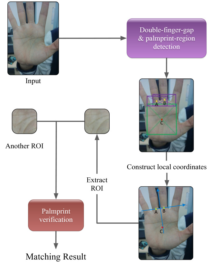 Towards Palmprint Verification On Smartphones | DeepAI