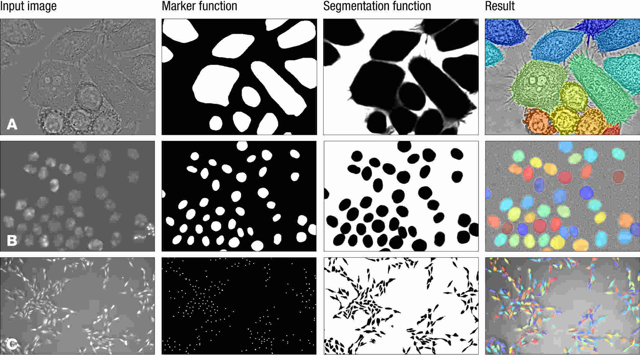Cell Segmentation By Combining Marker Controlled Watershed And Deep Learning Deepai