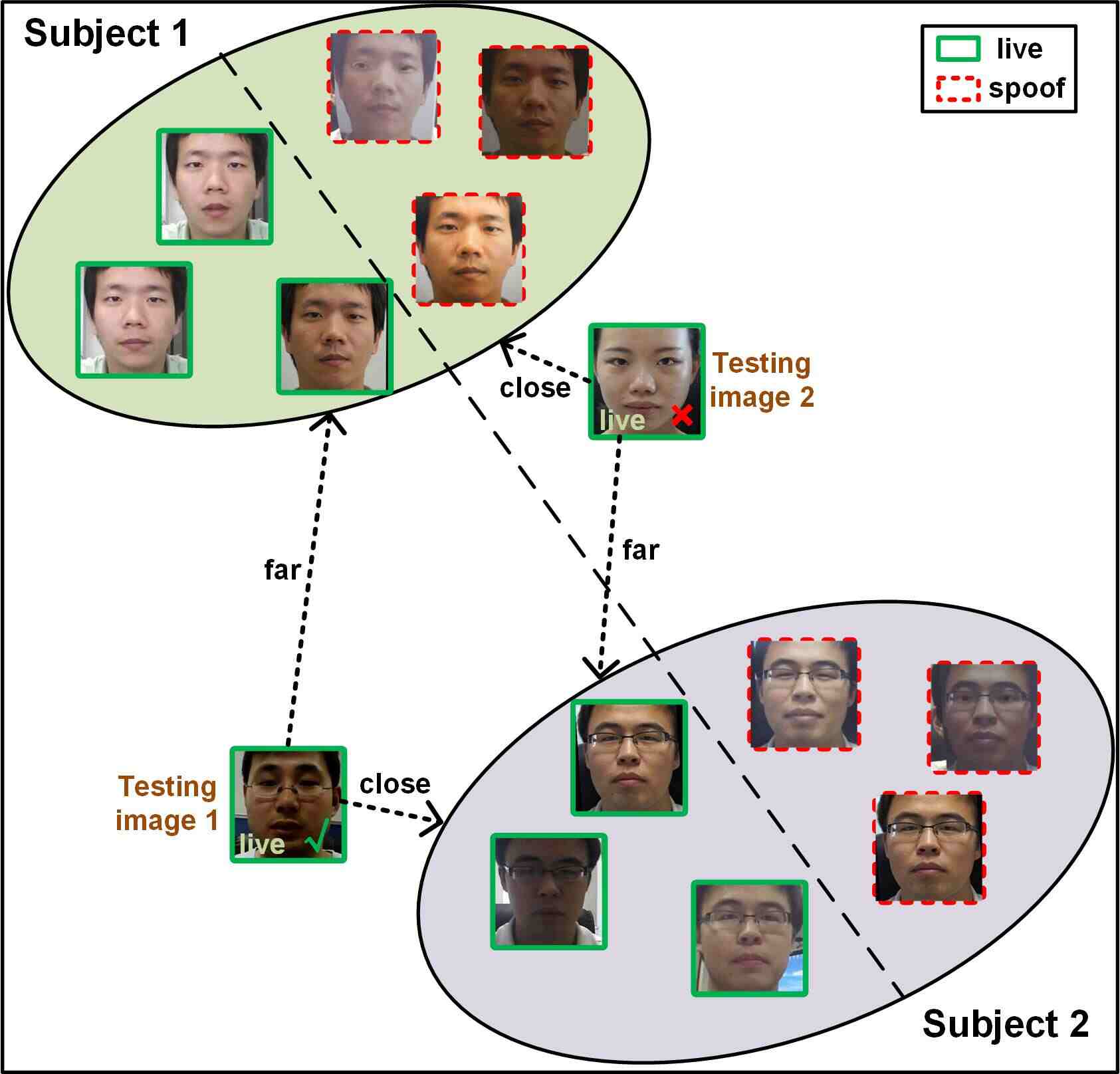Cross-domain Face Presentation Attack Detection via Multi-domain Disentangled Representation ...