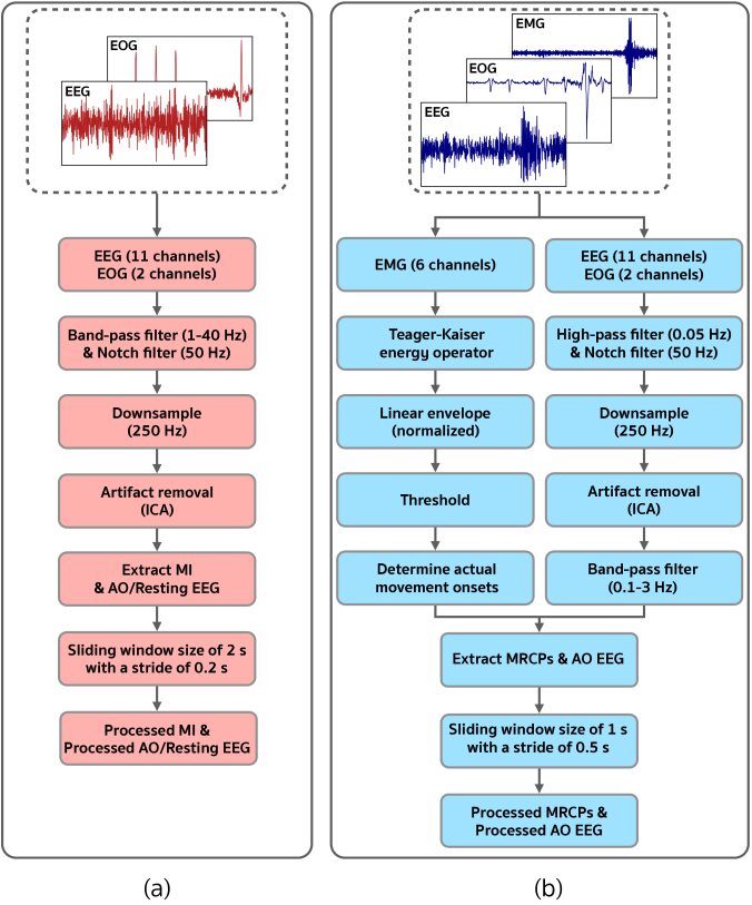 Decoding EEG Rhythms During Action Observation, Motor Imagery, and ...