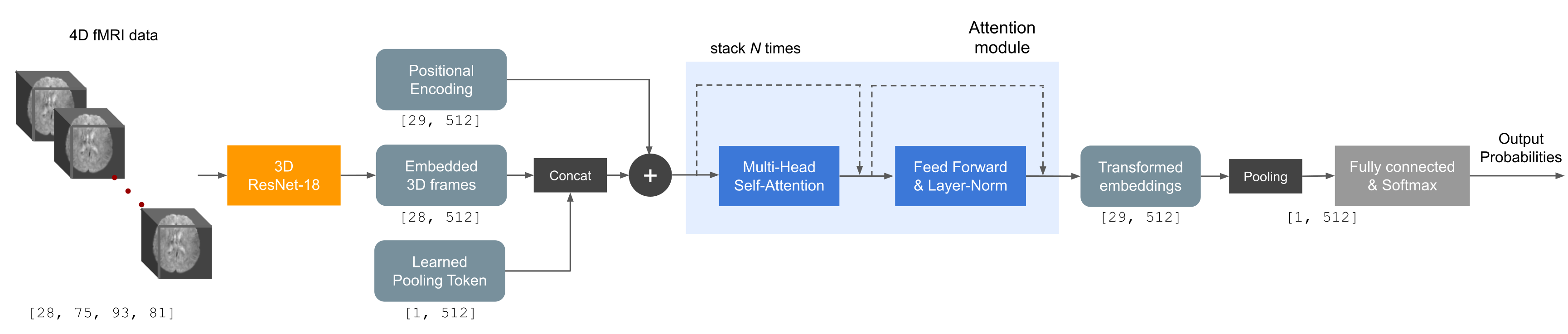 Attend and Decode: 4D fMRI Task State Decoding Using Attention Models | DeepAI