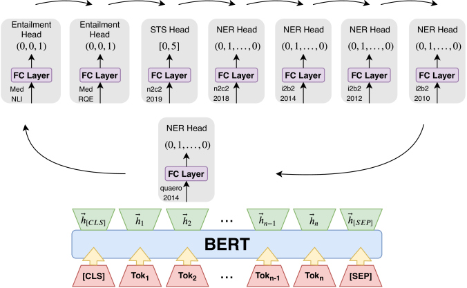 MT-Clinical BERT: Scaling Clinical Information Extraction with Multitask Learning | DeepAI
