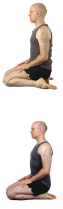Yoga-82: A New Dataset for Fine-grained Classification of Human Poses ...