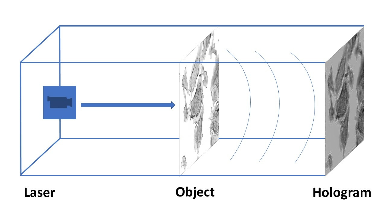 Deep DIH : Statistically Inferred Reconstruction of Digital In-Line ...