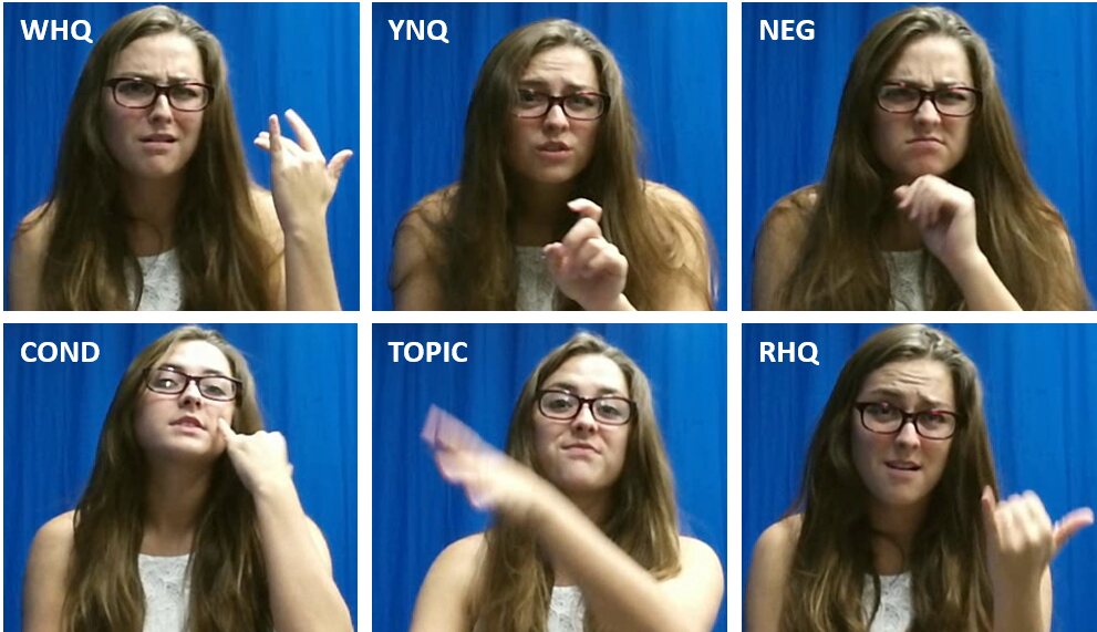 Recognizing American Sign Language Nonmanual Signal Grammar Errors in ...
