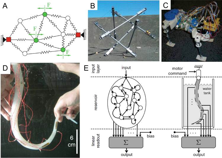 Physical Reservoir Computing An Introductory Perspective Deepai