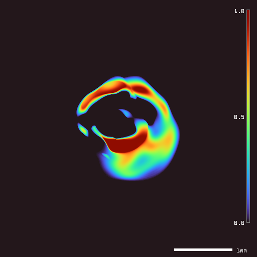 Lenia and Expanded Universe | DeepAI