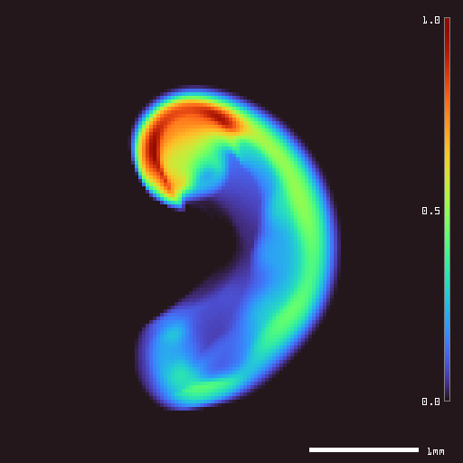 Lenia and Expanded Universe | DeepAI