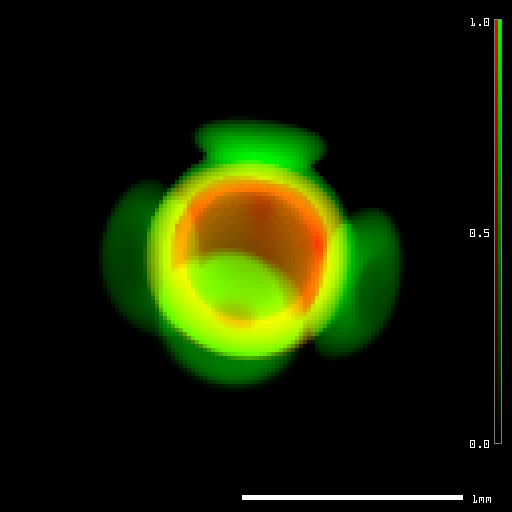 Lenia and Expanded Universe | DeepAI