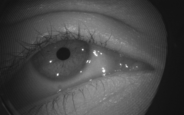 OpenEDS2020: Open Eyes Dataset | DeepAI