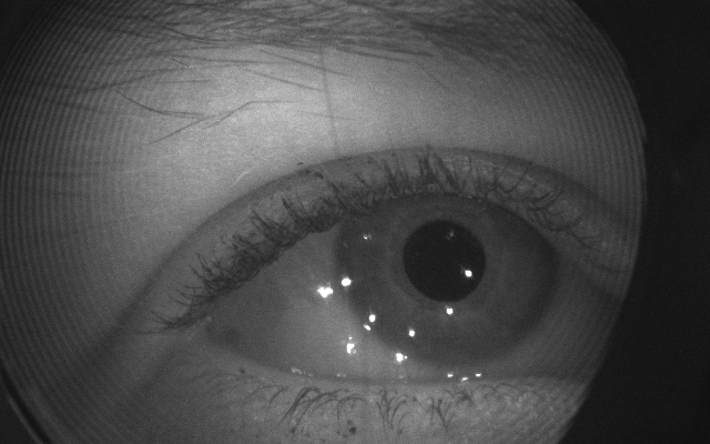 OpenEDS2020: Open Eyes Dataset | DeepAI