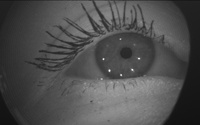 OpenEDS2020: Open Eyes Dataset | DeepAI