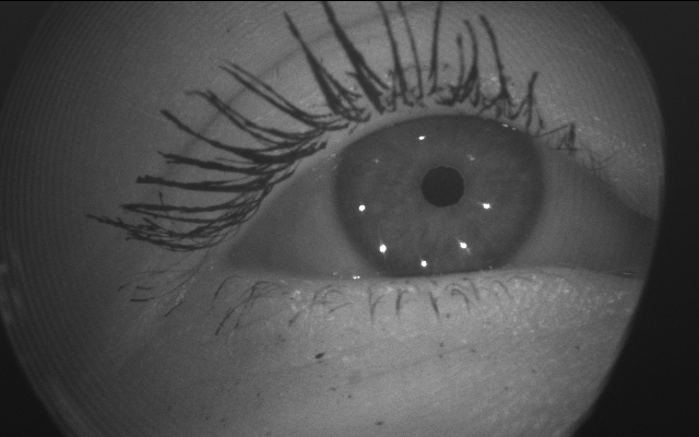 OpenEDS2020: Open Eyes Dataset | DeepAI