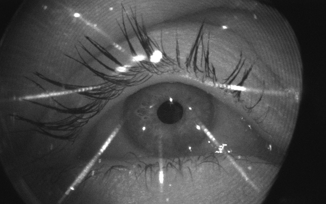 OpenEDS2020: Open Eyes Dataset | DeepAI