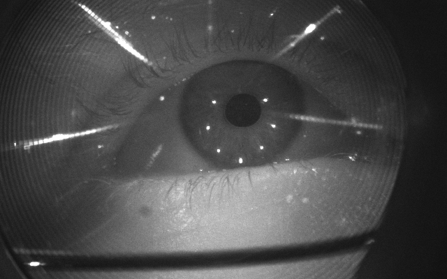 OpenEDS2020: Open Eyes Dataset | DeepAI