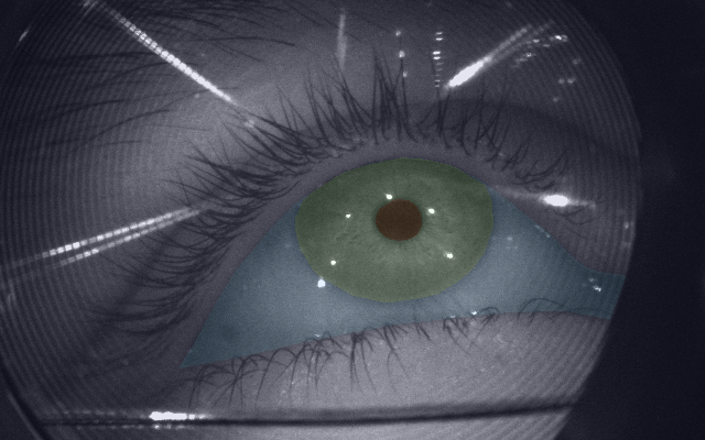 OpenEDS2020: Open Eyes Dataset | DeepAI