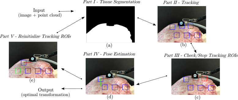 Autonomous Tissue Scanning under Free-Form Motion for Intraoperative ...