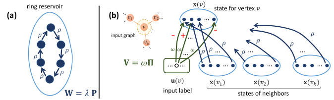 Ring Reservoir Neural Networks for Graphs | DeepAI