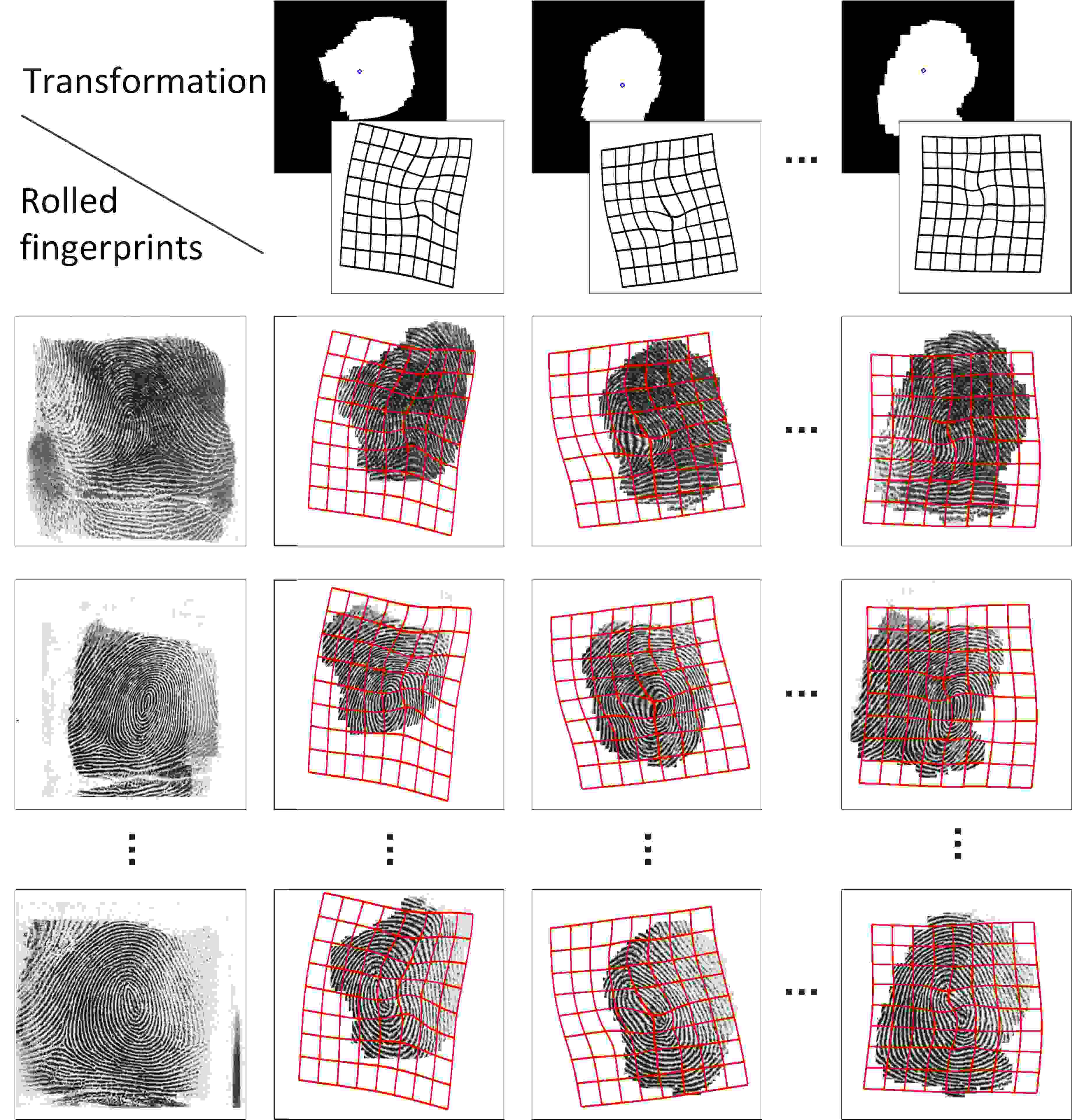 Latent Fingerprint Registration via Matching Densely Sampled Points ...
