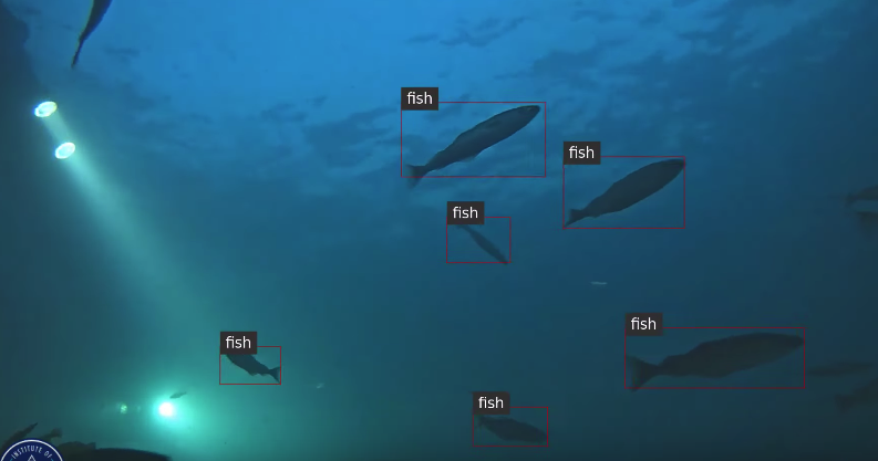 Temperate Fish Detection and Classification: a Deep Learning based ...