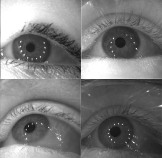 Benefits of temporal information for appearance-based gaze estimation ...