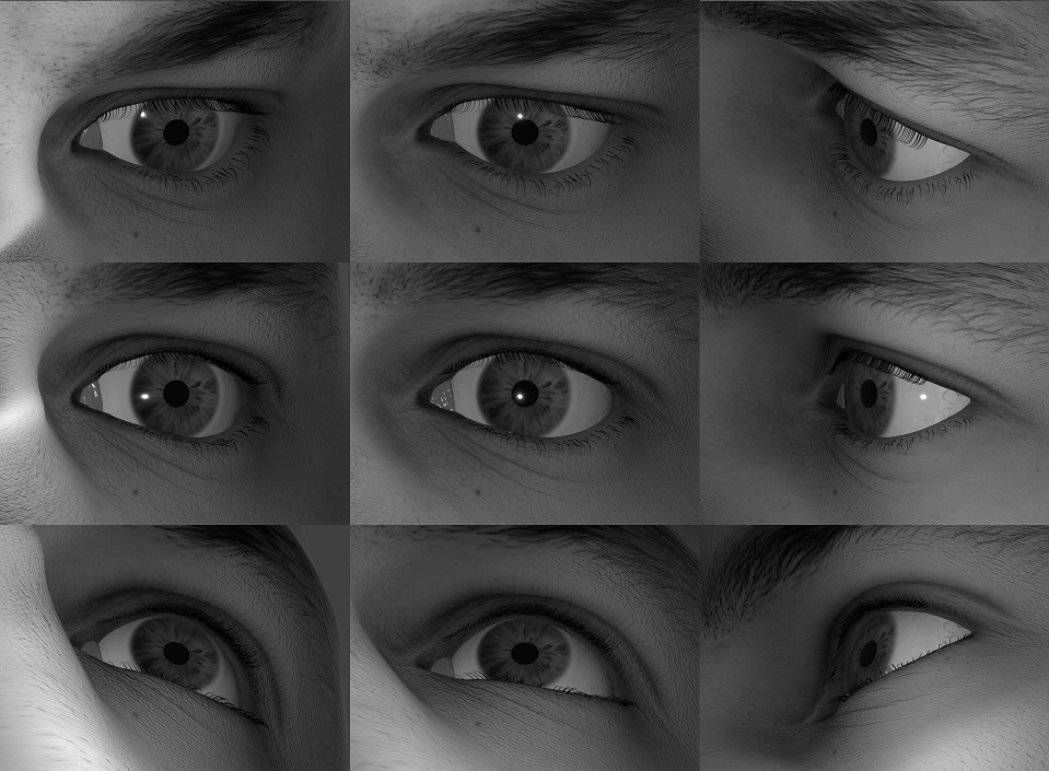 RIT-Eyes: Rendering of near-eye images for eye-tracking applications ...