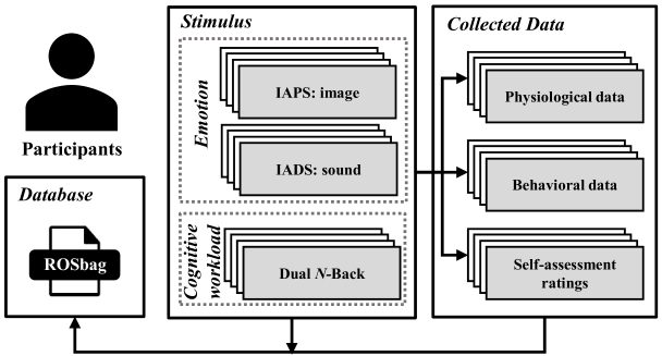 ROSbag-based Multimodal Affective Dataset for Emotional and Cognitive ...