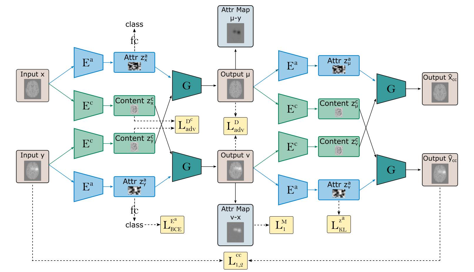ICAM: Interpretable Classification via Disentangled Representations and Feature Attribution ...