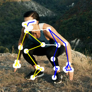 BlazePose: On-device Real-time Body Pose tracking | DeepAI