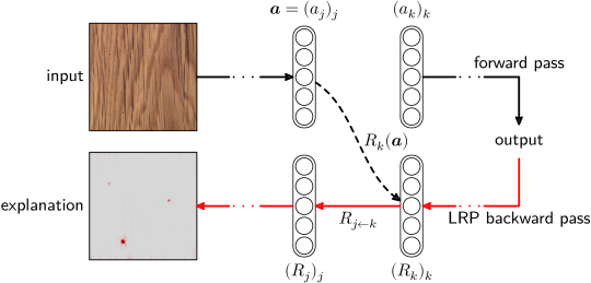 The Clever Hans Effect in Anomaly Detection | DeepAI