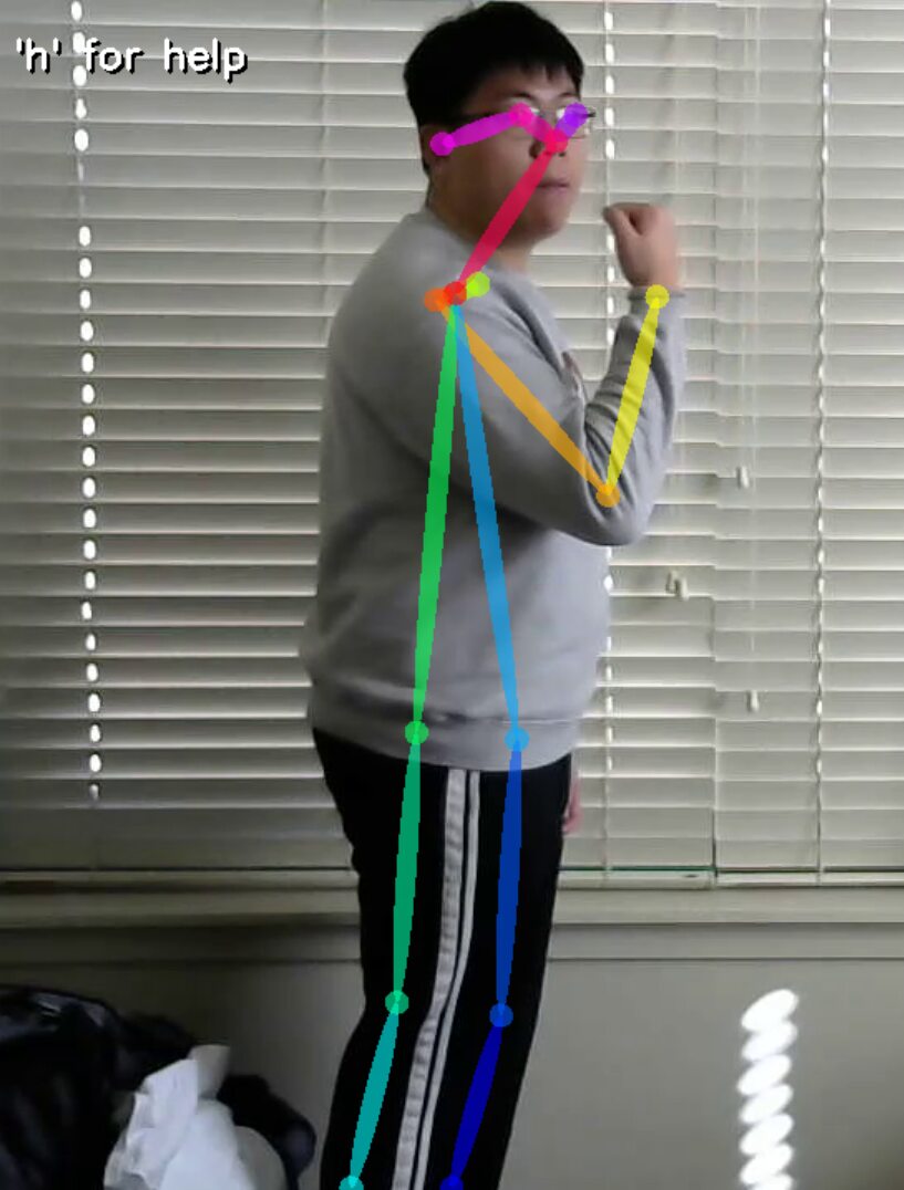 Pose Trainer Correcting Exercise Posture Using Pose Estimation Deepai