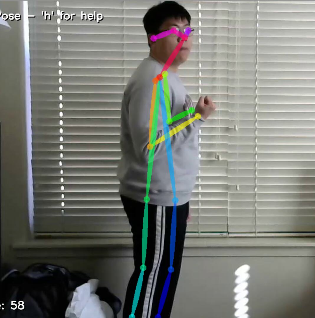 Pose Trainer Correcting Exercise Posture Using Pose Estimation Deepai