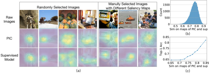 Parametric Instance Classification For Unsupervised Visual Feature Learning Deepai