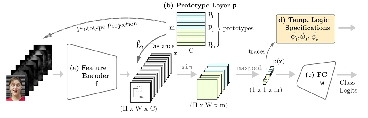 Interpretable Deepfake Detection via Dynamic Prototypes | DeepAI