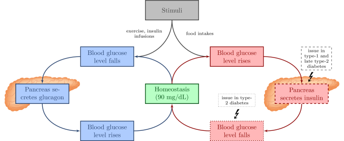 GLYFE: Review and Benchmark of Personalized Glucose Predictive Models ...