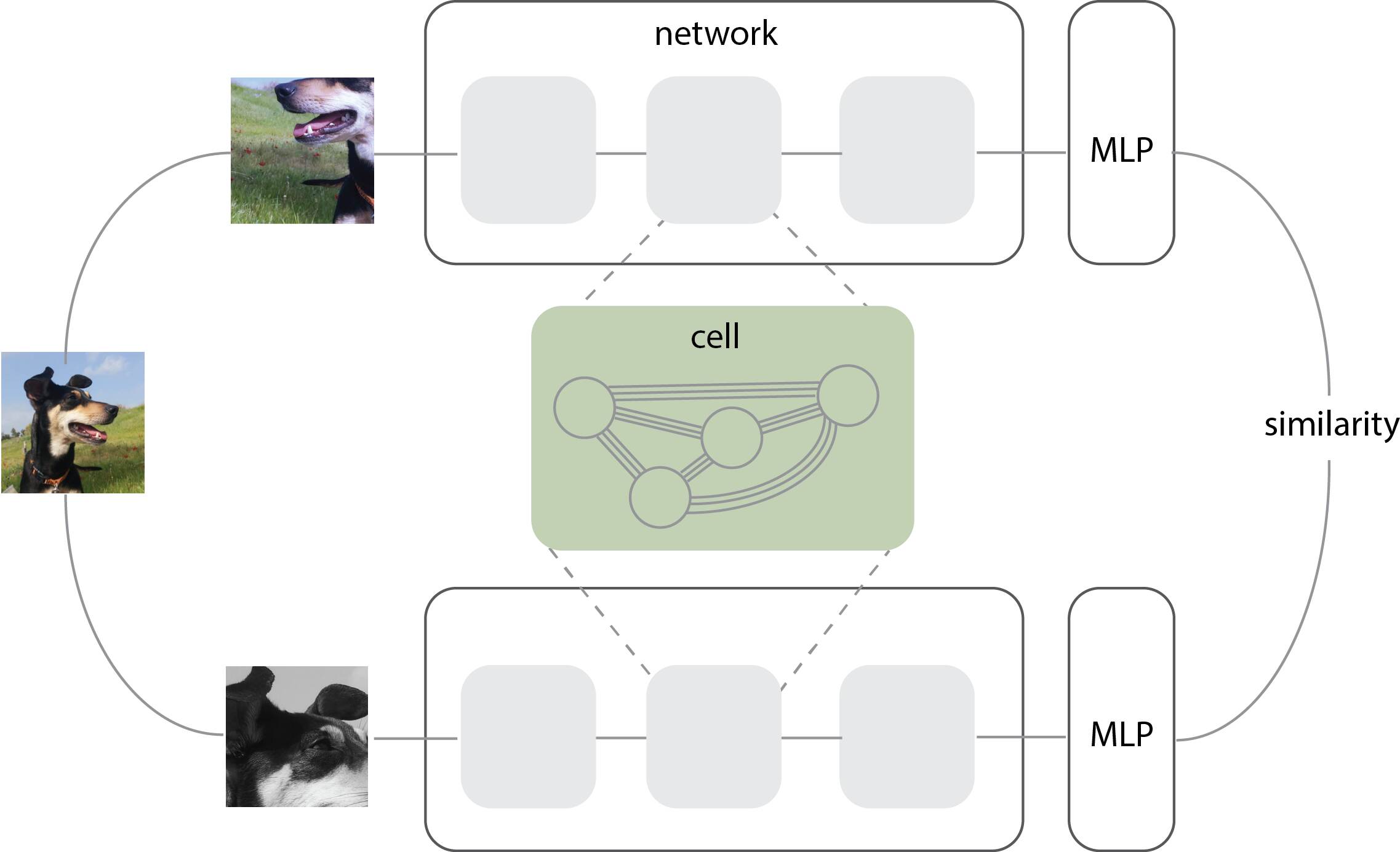 Self-supervised Neural Architecture Search | DeepAI