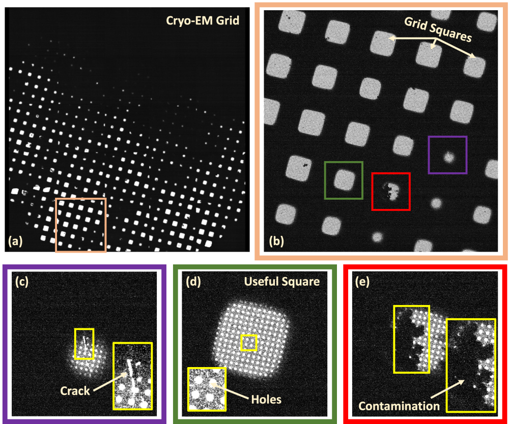 Attention-guided Quality Assessment for Automated Cryo-EM Grid ...