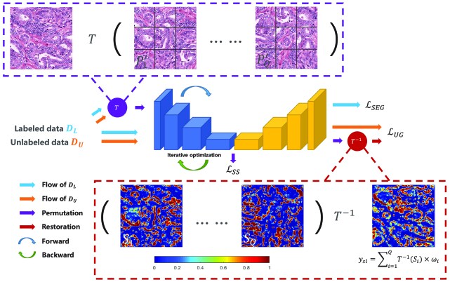 Self-Loop Uncertainty: A Novel Pseudo-Label for Semi-Supervised Medical Image Segmentation | DeepAI