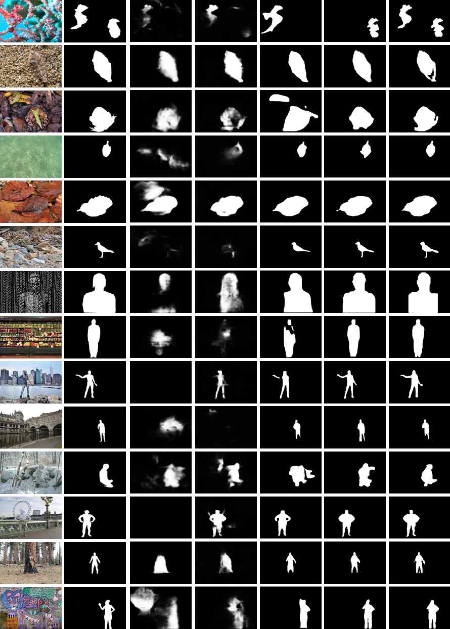 Mirrornet Bio Inspired Adversarial Attack For Camouflaged Object