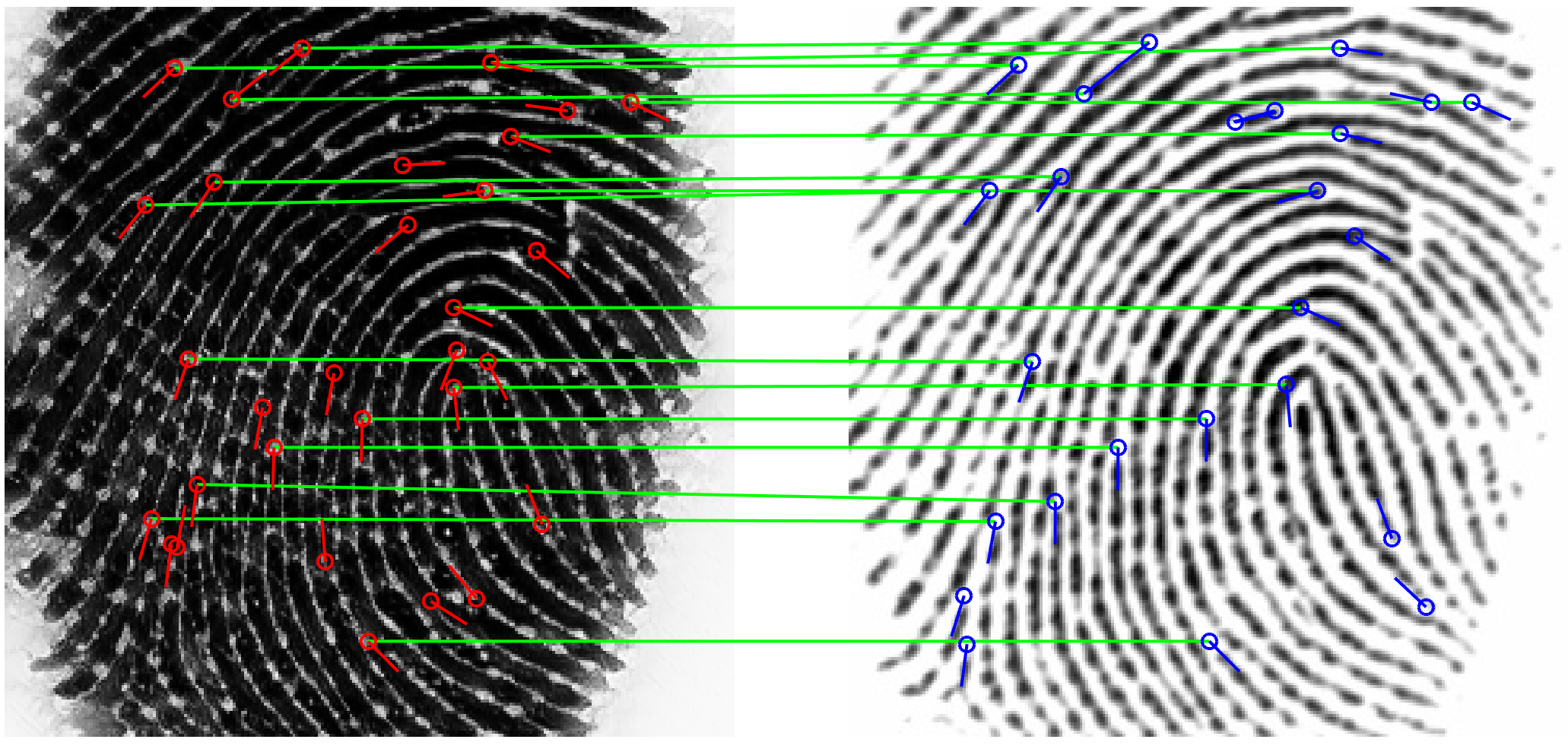 White-Box Evaluation of Fingerprint Recognition Systems | DeepAI