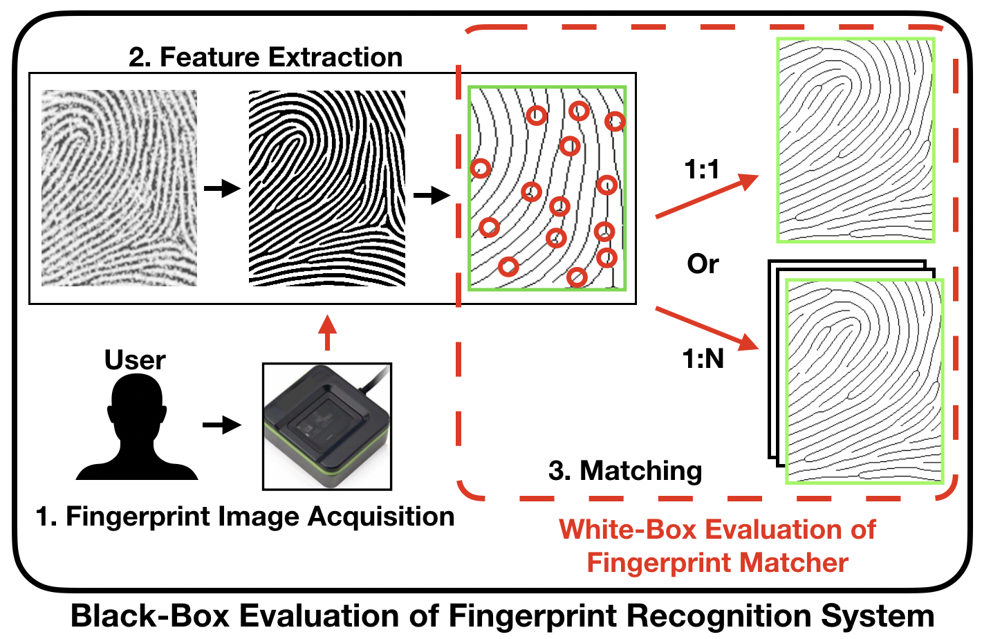 White-Box Evaluation of Fingerprint Recognition Systems | DeepAI