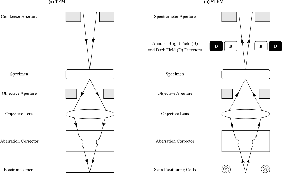 Review: Deep Learning in Electron Microscopy | DeepAI