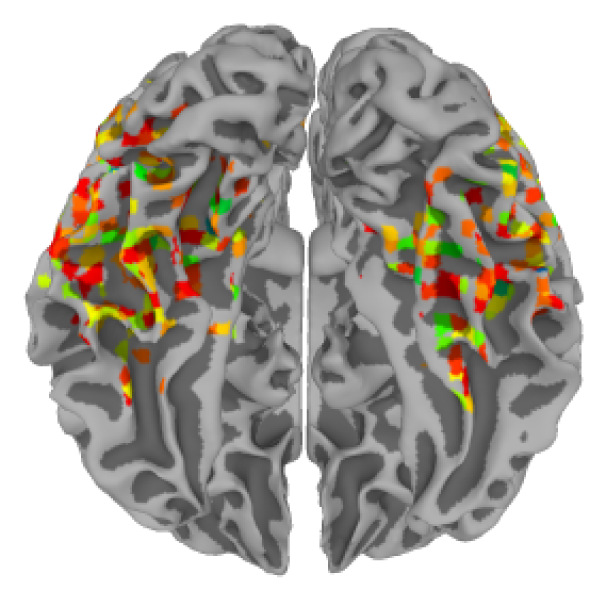 Deep Representational Similarity Learning for analyzing neural signatures in task-based fMRI ...