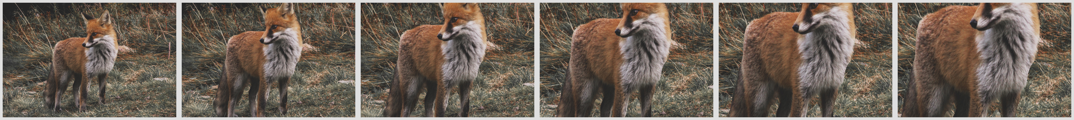 Parallax Motion Effect Generation Through Instance Segmentation And Depth Estimation | DeepAI