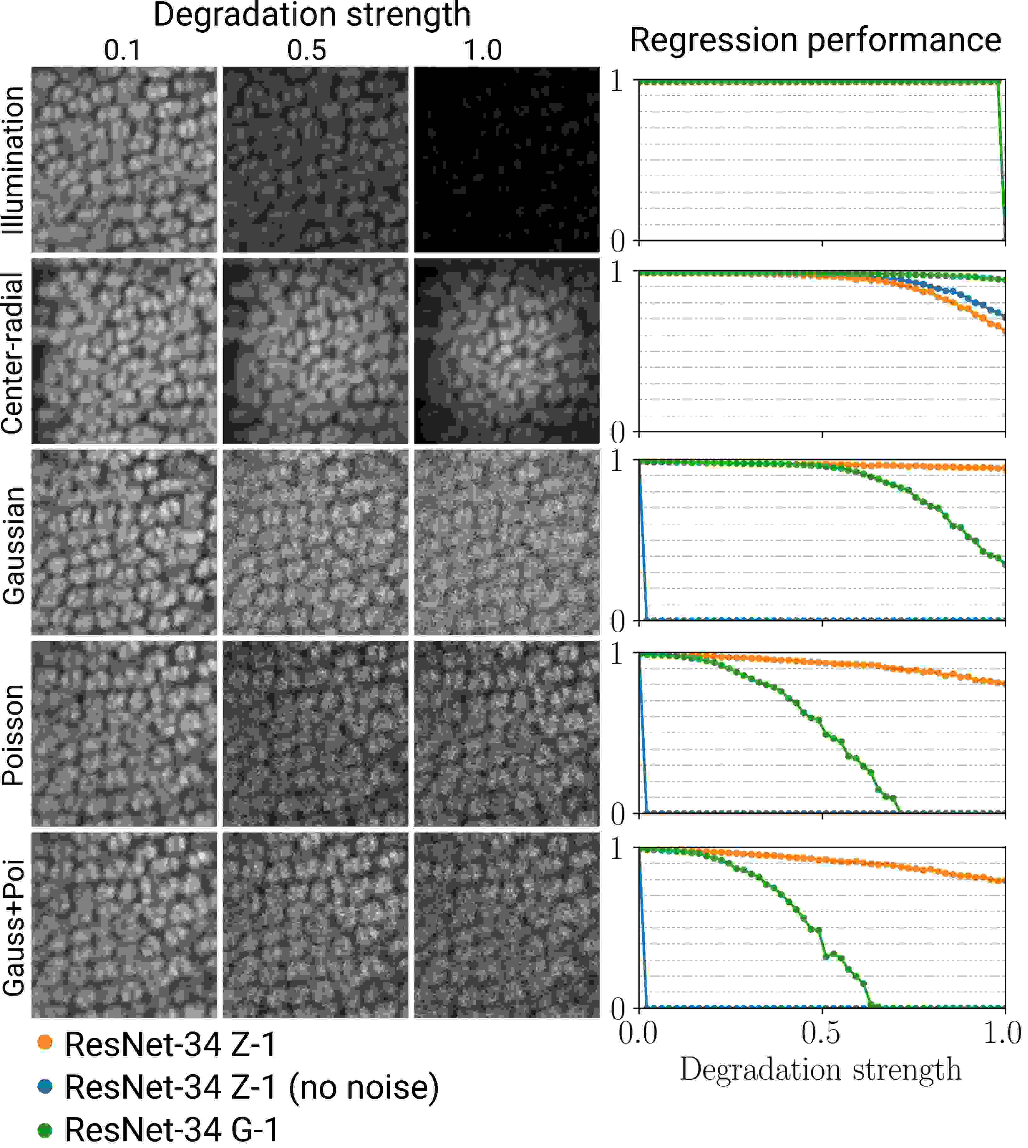 Spatially Variant Cnn Based Point Spread Function Estimation For Blind