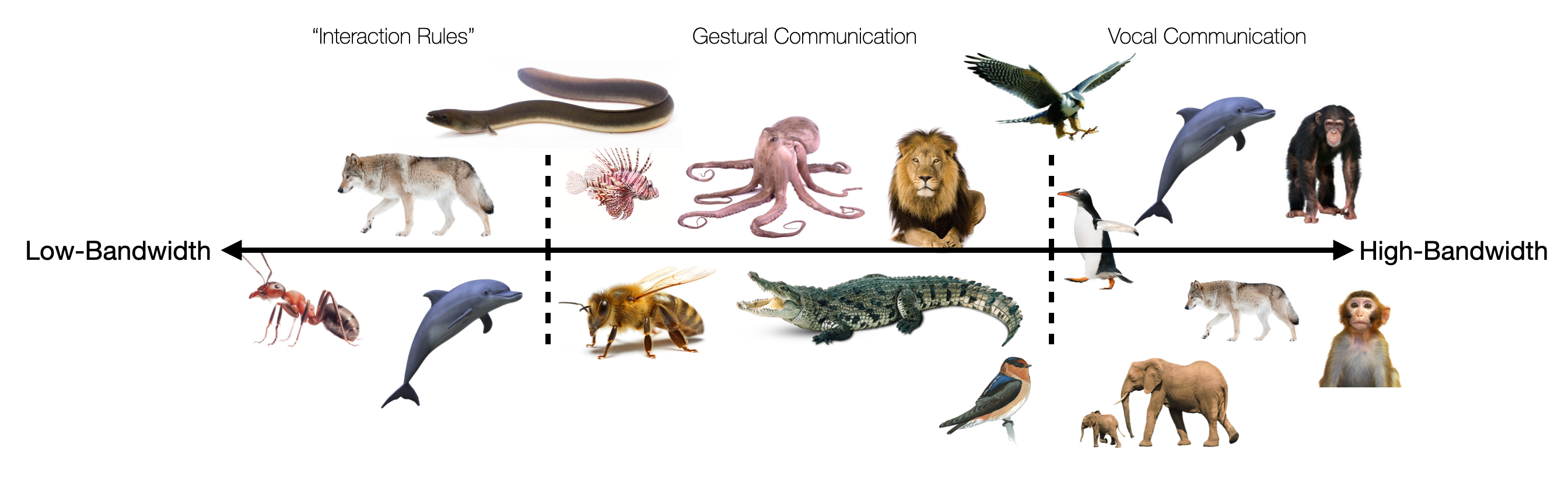 Low-Bandwidth Communication Emerges Naturally in Multi-Agent Learning Systems | DeepAI