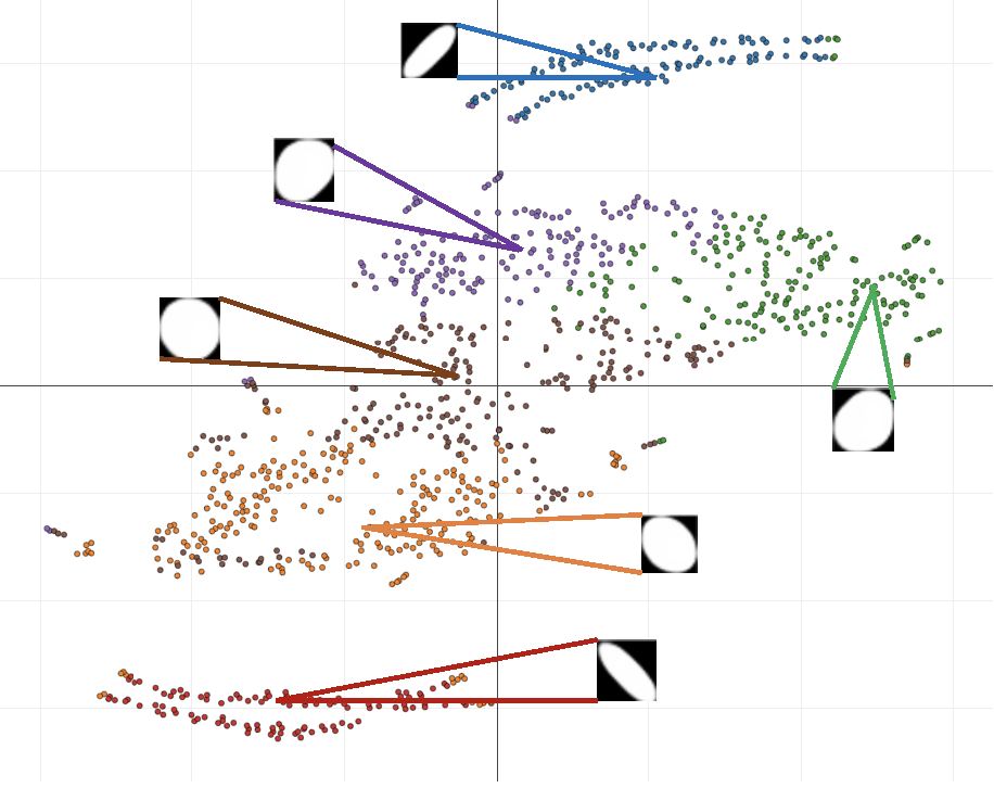 Amodal Segmentation Based on Visible Region Segmentation and Shape Prior | DeepAI