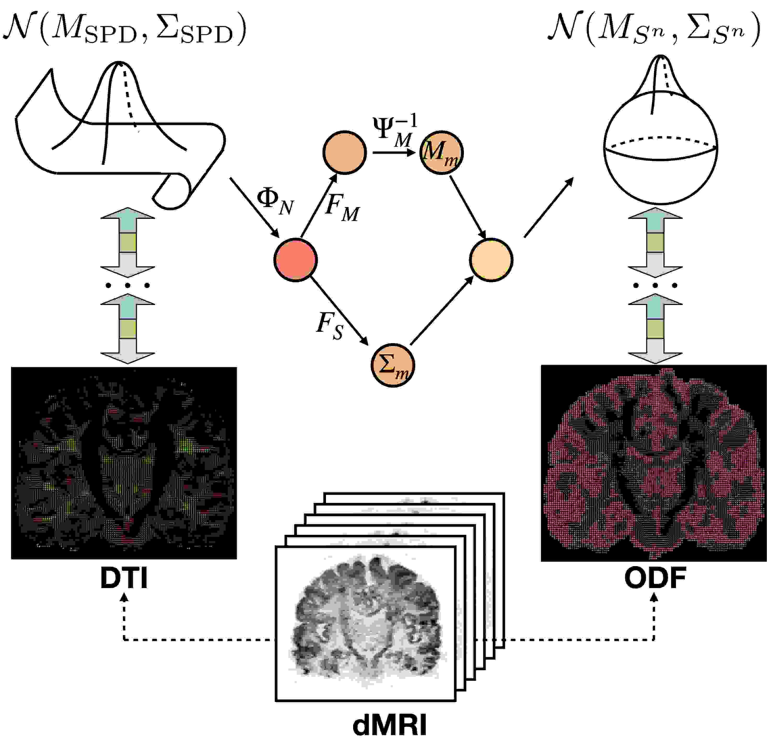 Flow-based Generative Models for Learning Manifold to Manifold Mappings ...
